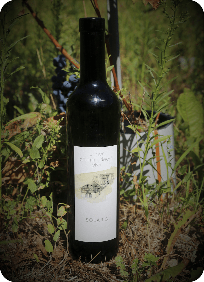 Solaris - PIWI Weine